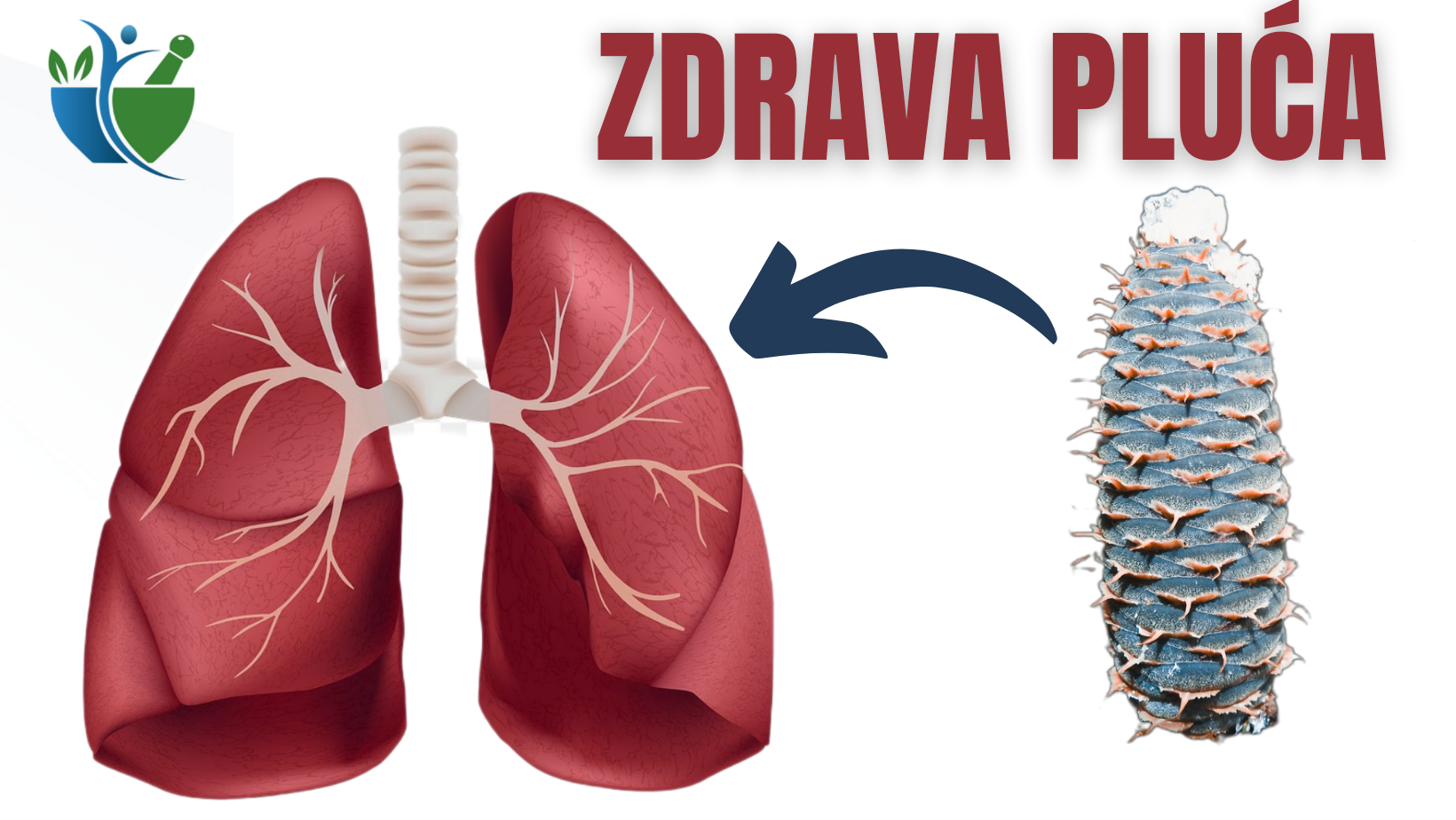 Kako izliječiti bolesna pluća (astma, bronhitis, COPD)? Uzmite ovaj ...
